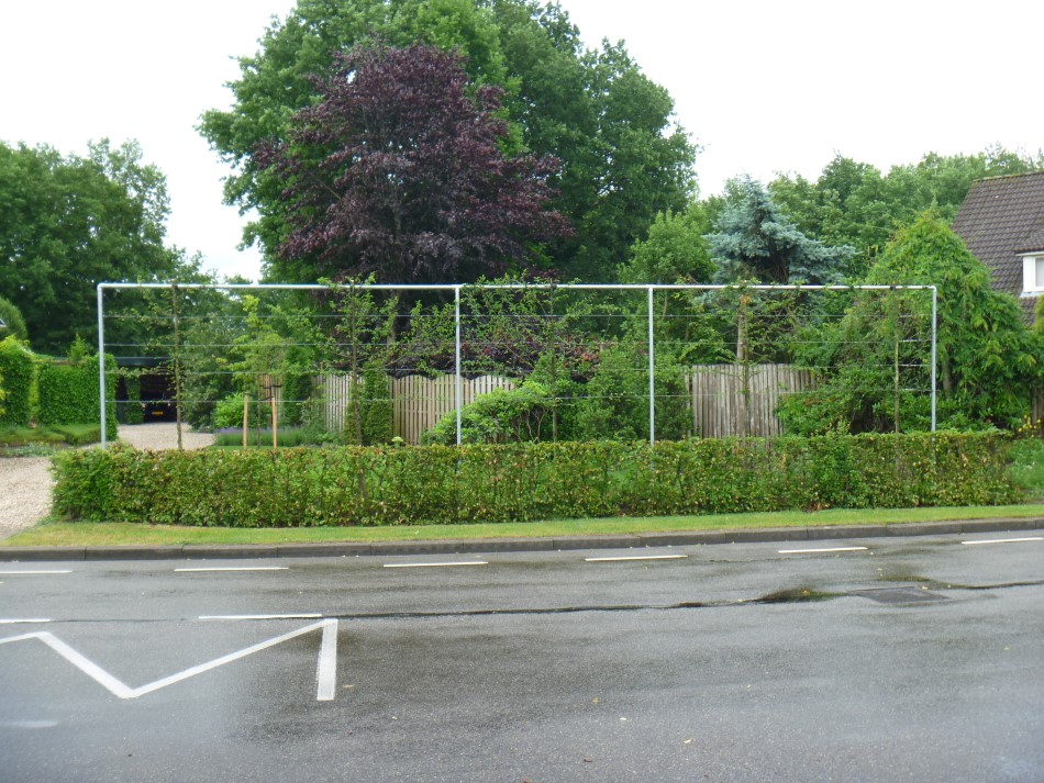 Leibomen constructie maken van Steigerbuis (TIP) | SteigerbuisOnline
