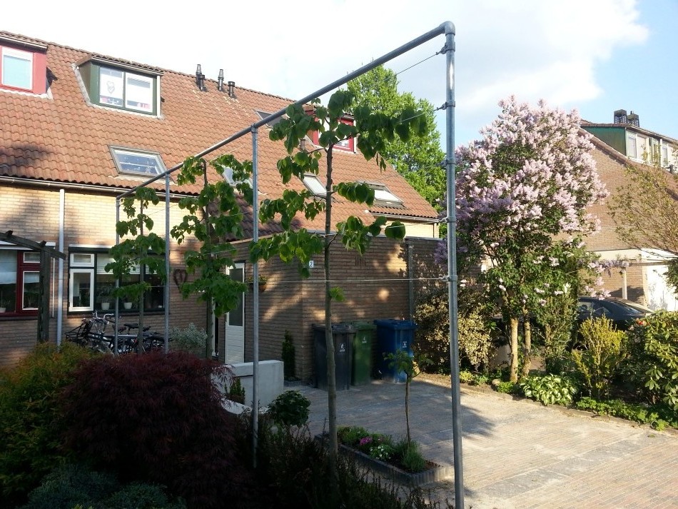 Leibomen constructie maken van Steigerbuis (TIP) | SteigerbuisOnline